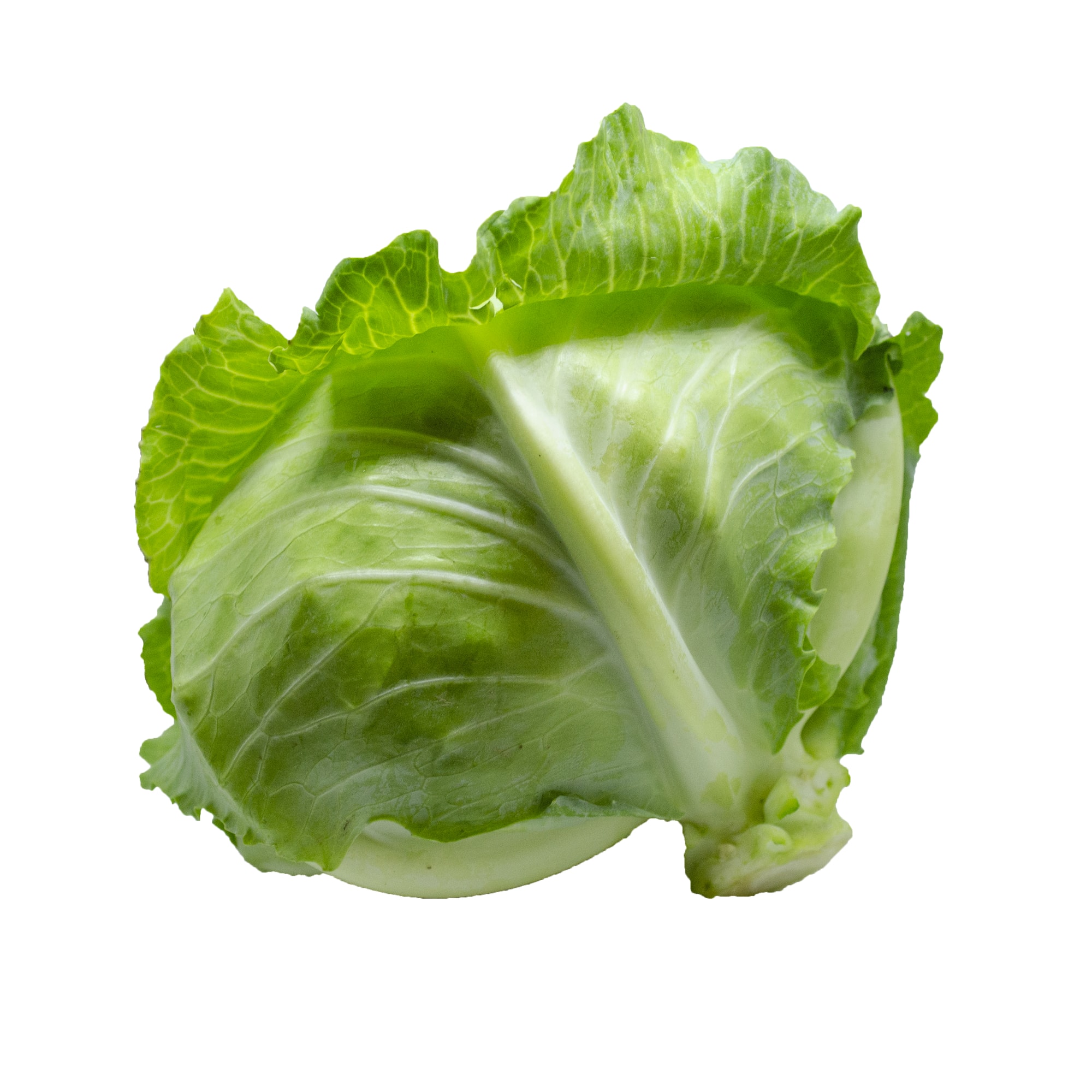 Vegetables & Fruits | Macgreen Agrocomm Ltd.,
